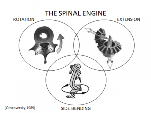 Golfing Injuries - Ascot Health Practice